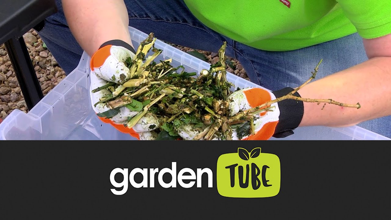 Shredding for compost and mulch - YouTube