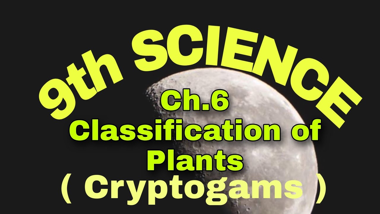 9 th Sci. Ch.6 Classification of Plants.(Cryptogams) - YouTube
