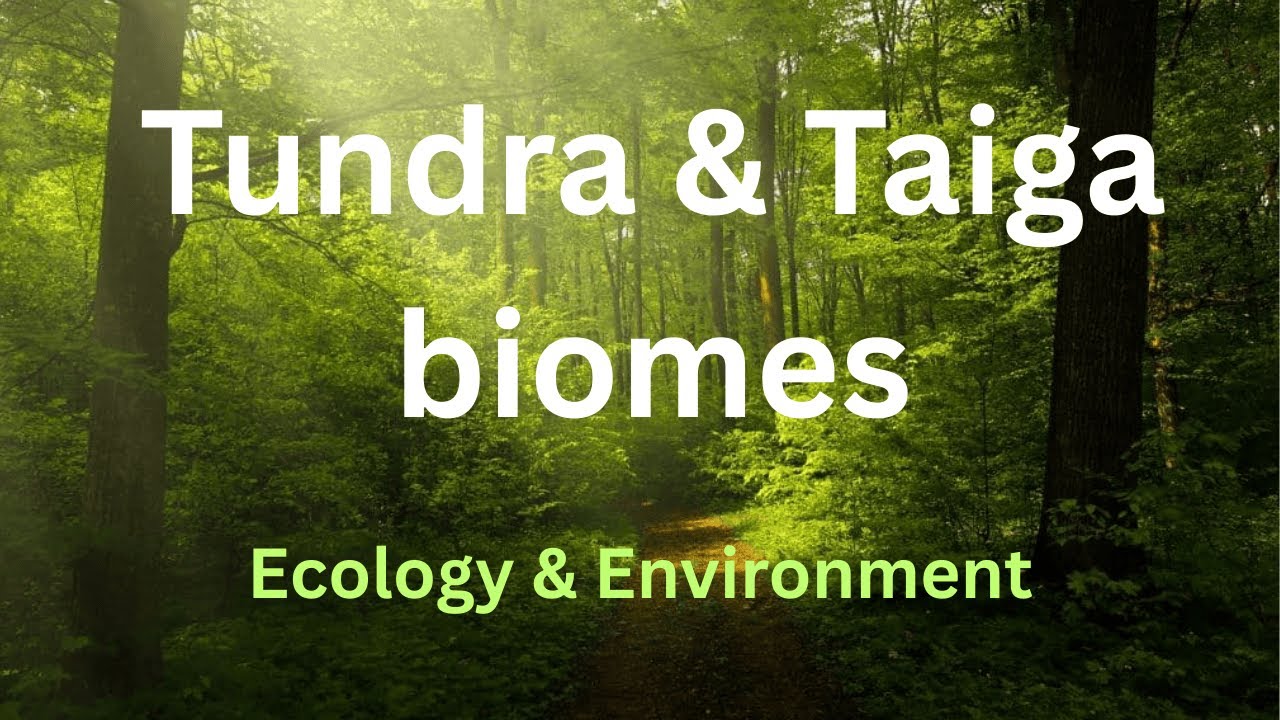 Ecology & Environment for UPSC (Tundra and Taiga biomes ) - YouTube