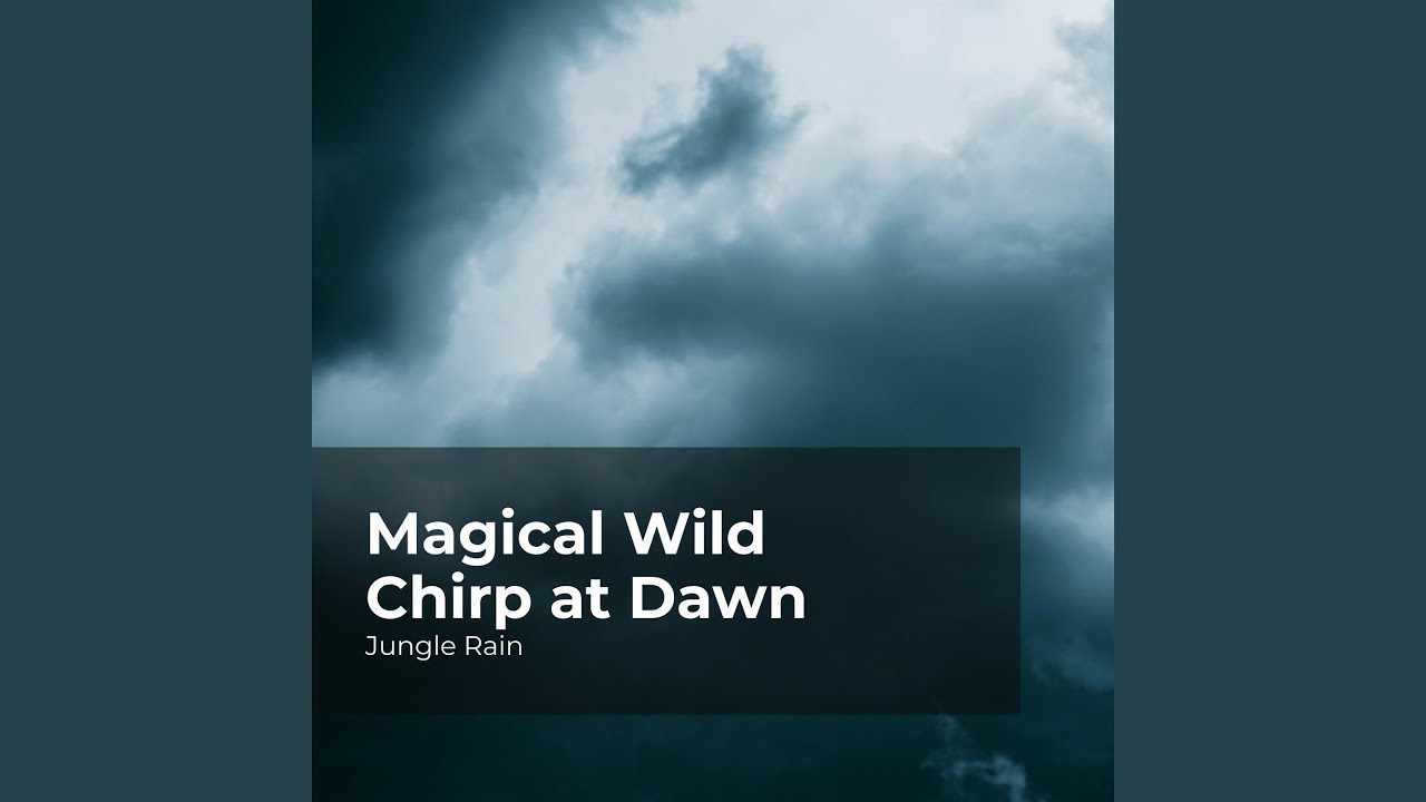 Rain Falling in the Wilds - YouTube Music