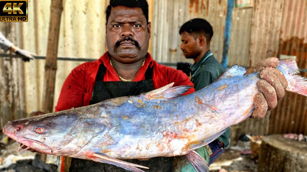 KASIMEDU 🔥 SPEED SELVAM | KADAL KELUTHI FISH CUTTING VIDEO | 4K VIDEO ...