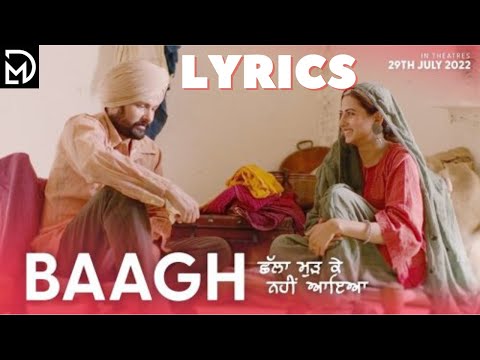 BAAGH (LYRICS) | BIR SINGH | AMRINDER GILL
