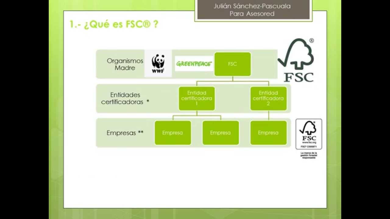 QUE ES FSC asesored - YouTube