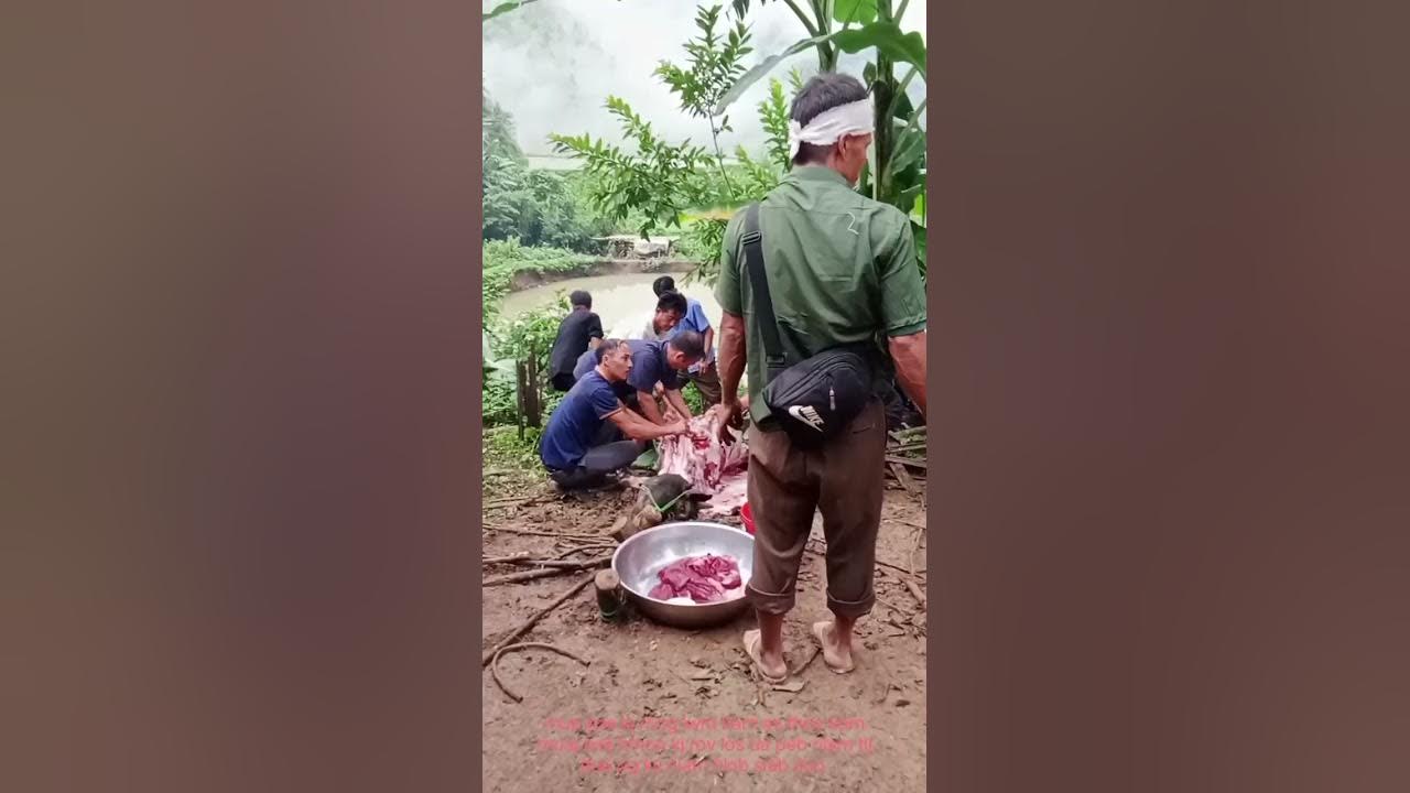 mus zoo kj og niam hlob siab zoo mất ngày 25/7/2024 3 giờ chiều - YouTube