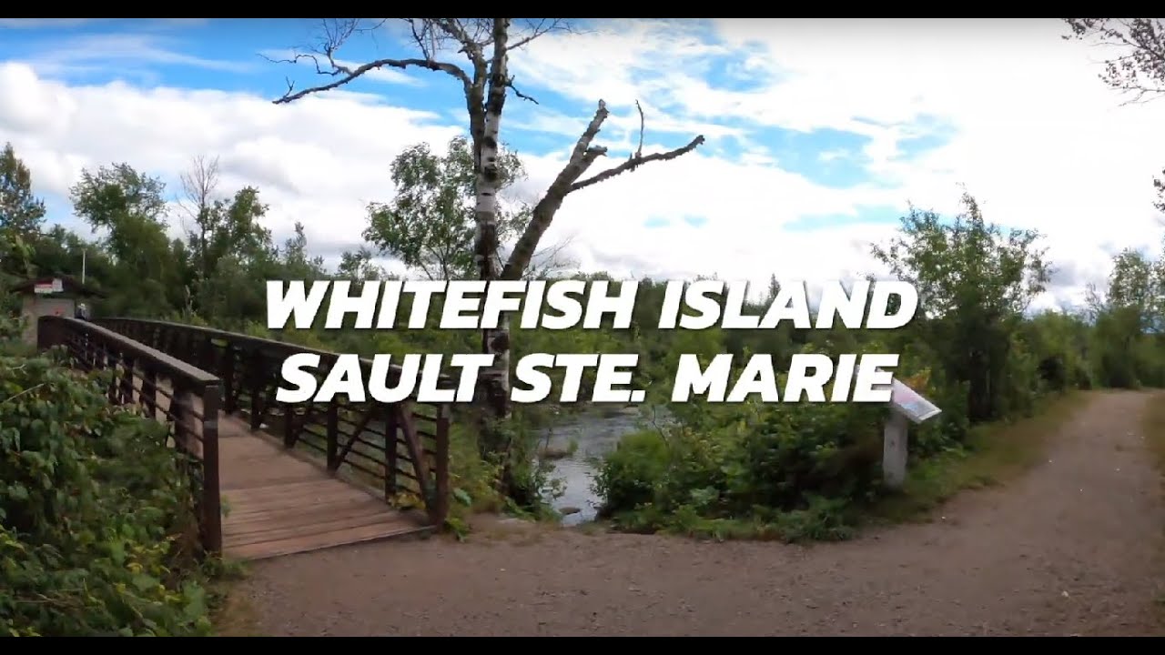 Whitefish Island: Peaceful Escape in Downtown Sault Ste. Marie - YouTube