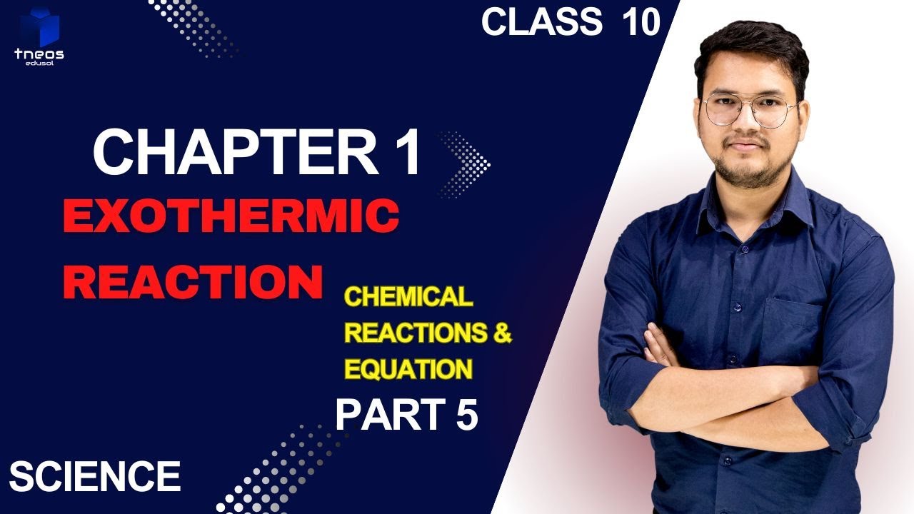 Uncovering The Secrets of Exothermic Reactions in Class 10 Science ...