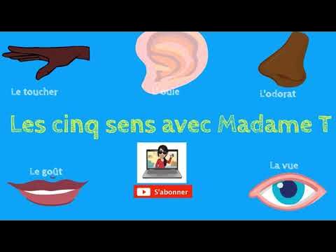 les cinq sens / learn French / French for beginners / French vocabulary ...
