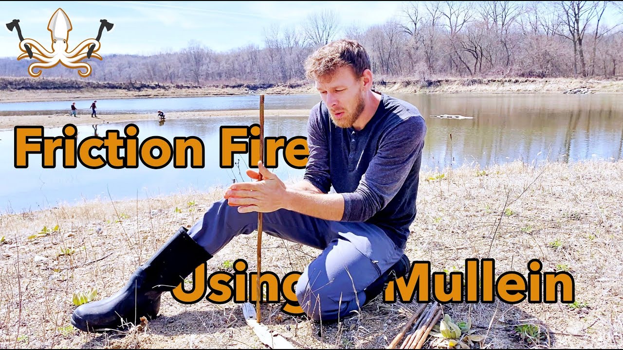 How To Make Friction Fire With Mullein - YouTube