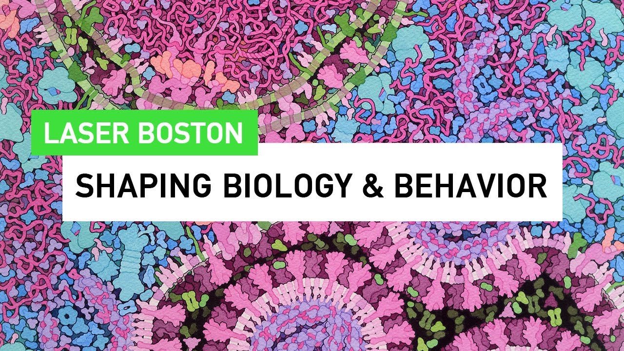 LASER Boston - Shaping Biology and Behavior - YouTube