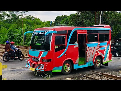 KUMPULAN BUS BUS MINI ‼️ BUS MIKRO MERAH, BUS MIKRO BIRU, BUS MIKRO ...