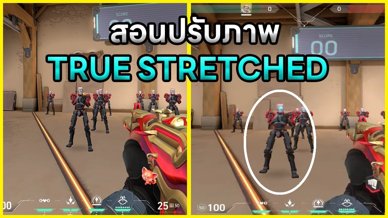 พี่เอยมาสอนปรับภาพ Valorant แบบ TRUE STRETCHED | Viperdemon - YouTube