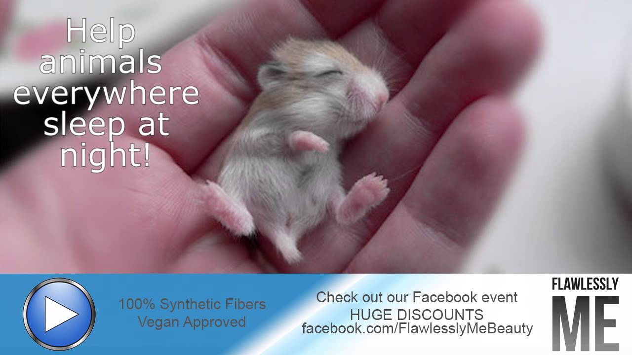 The Hamster Review. Flawlessly Me - Cruelty Free. High Quality Makeup ...