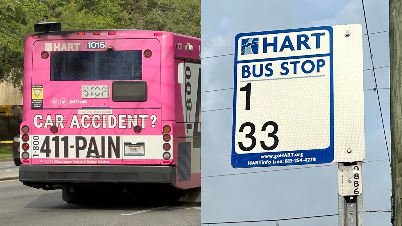 Hart bus #1016 on Route 1 to Marion Transit Center (MTC) - YouTube