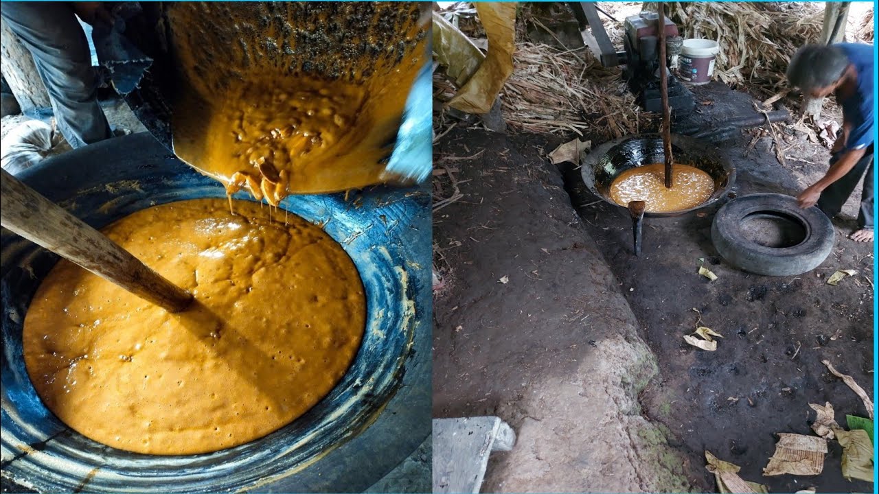 Maulang Bakasyon sa Bicol at gumawa ng sangkaka ,kalamay or mamis ...