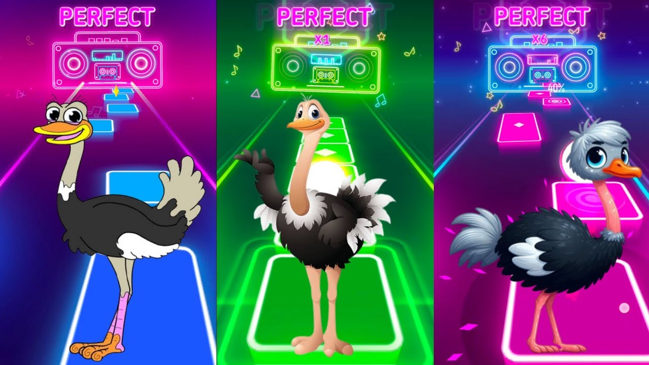 Ostrich Multiple Colours Race With Funniest Song [3 Rolls] | Snow Kids ...