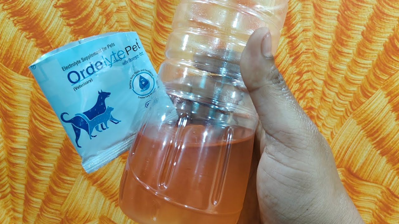 How to feed your dog Ordelyte pet ORS for Rehydration. PR#1 #trending # ...