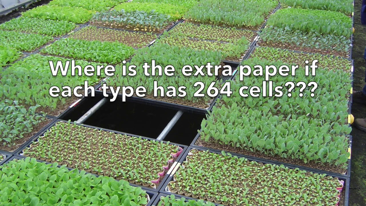 Paper chain pots unfurling - YouTube