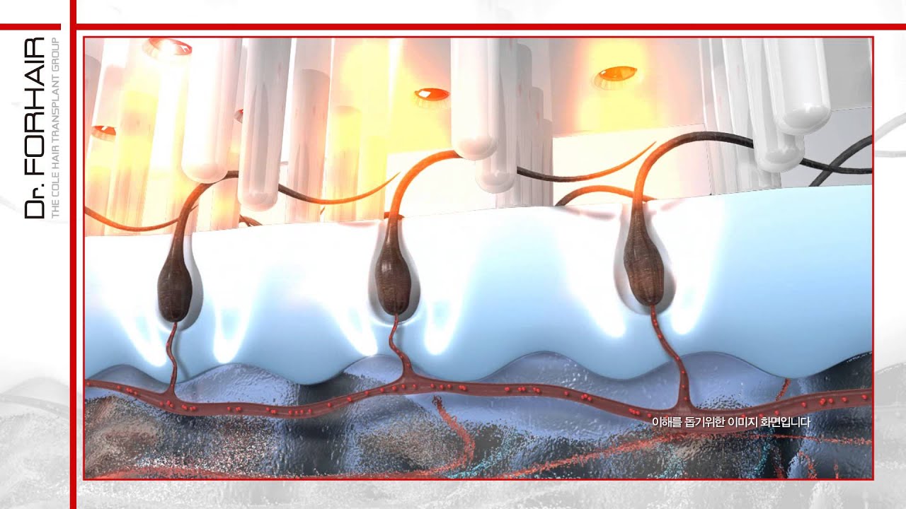 DR.FORHAIR LED SCALP MASSAGER - YouTube