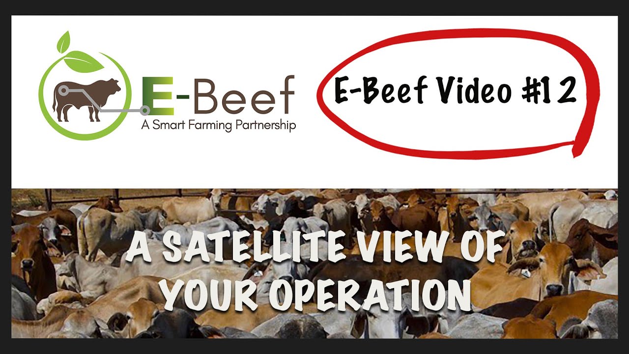 NDVI EXPLAINED - YouTube