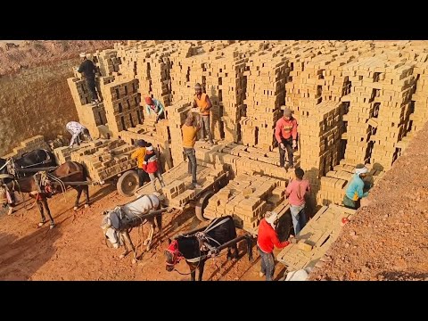 Bhatte me kachchi ito ki bharai #full video #trending video 🧱