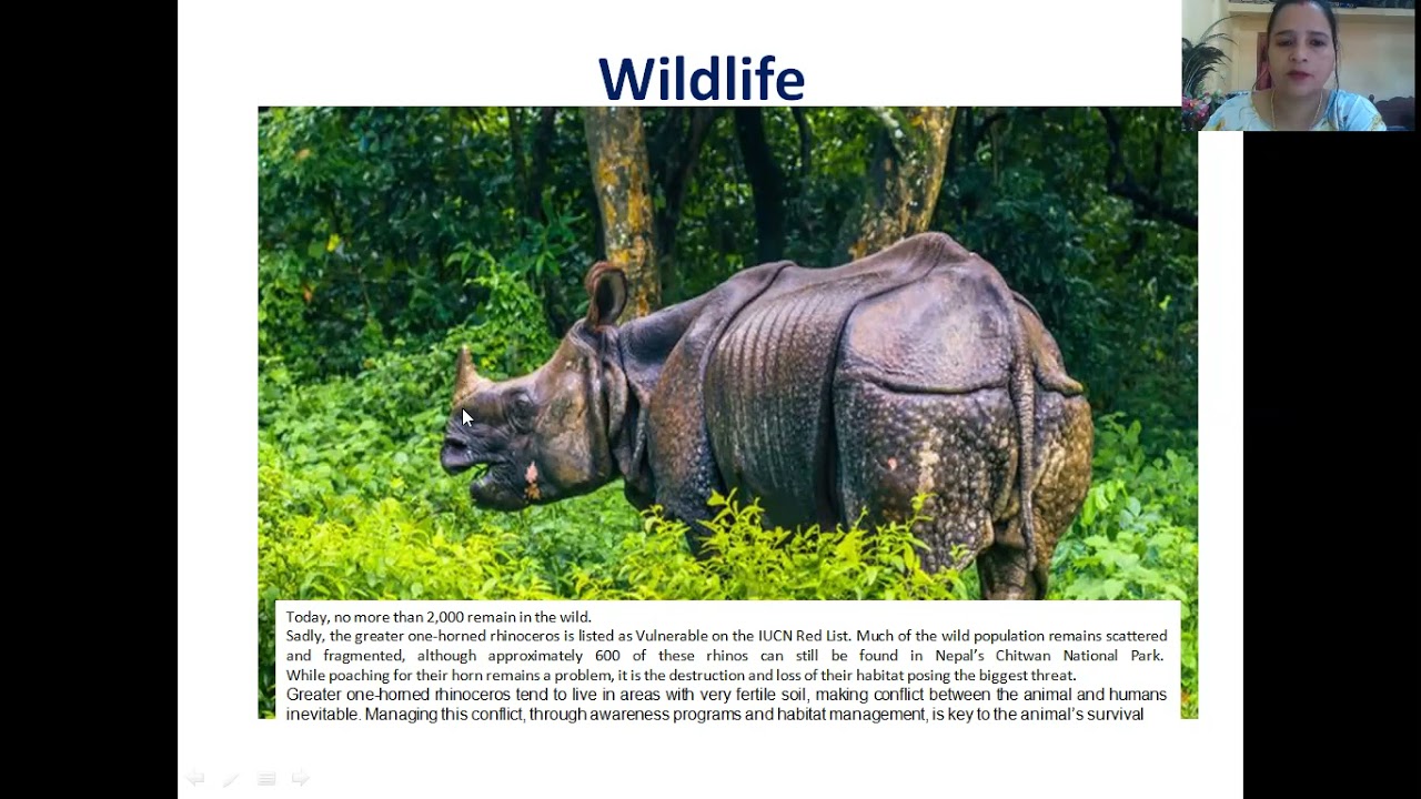 IUCN Red listed Animals of Nepal, Class 11 - YouTube