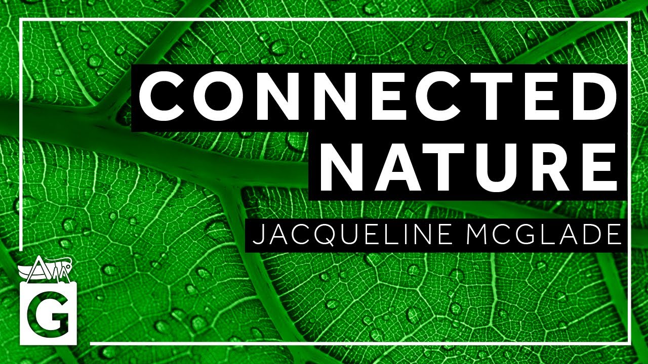 Connected Nature - YouTube