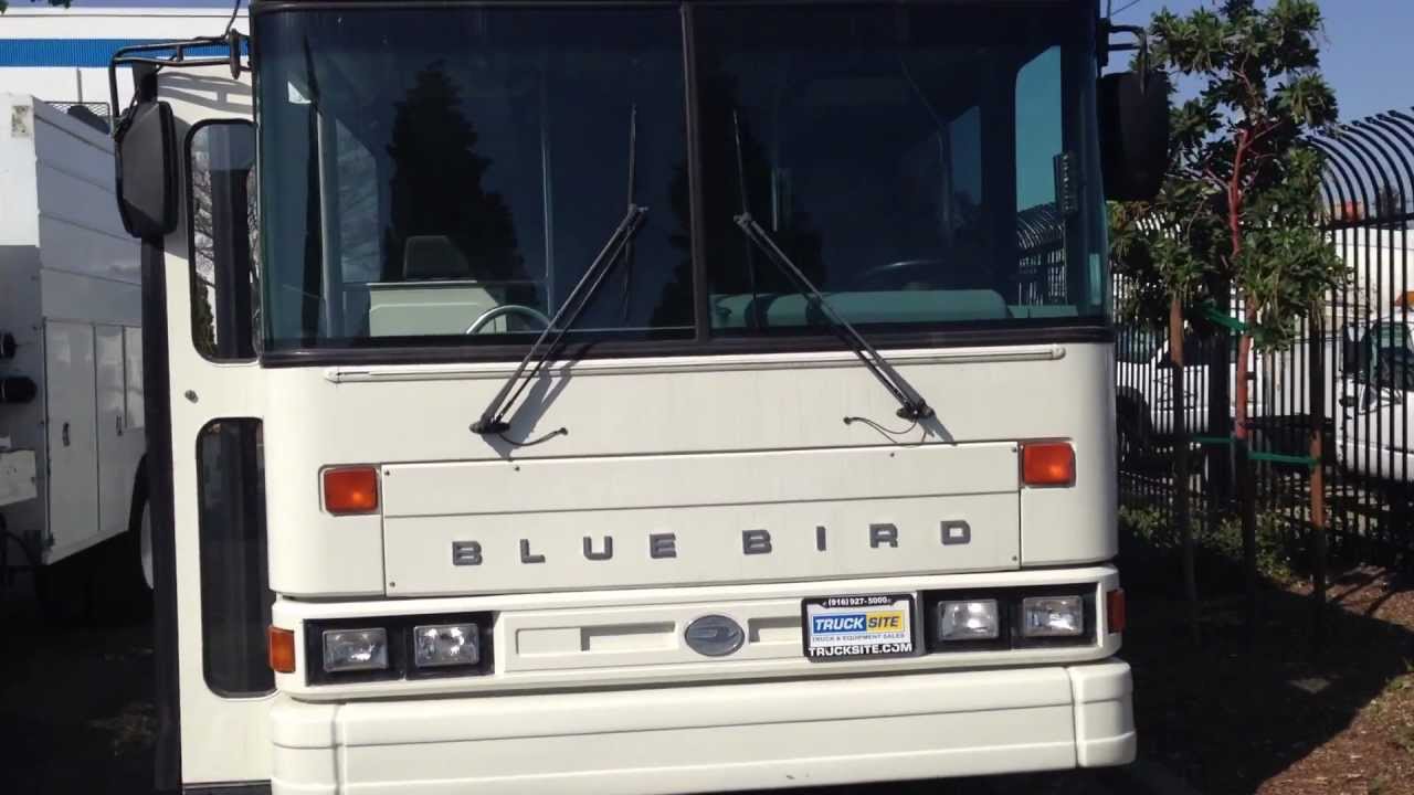 1996 Blue Bird CSRE 36 Passenger Bus for sale - YouTube