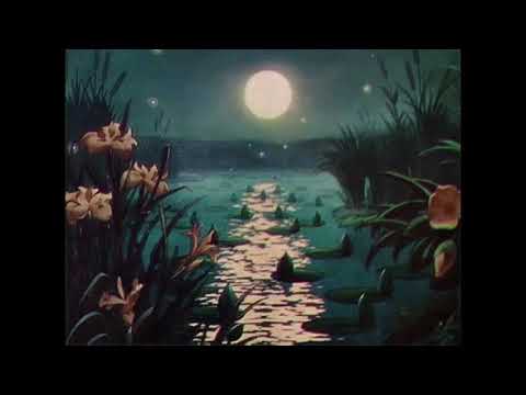 survivor - destiny's child (slowed + reverb)