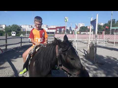 Yeni at gelmiş onu sürdürdüm.
