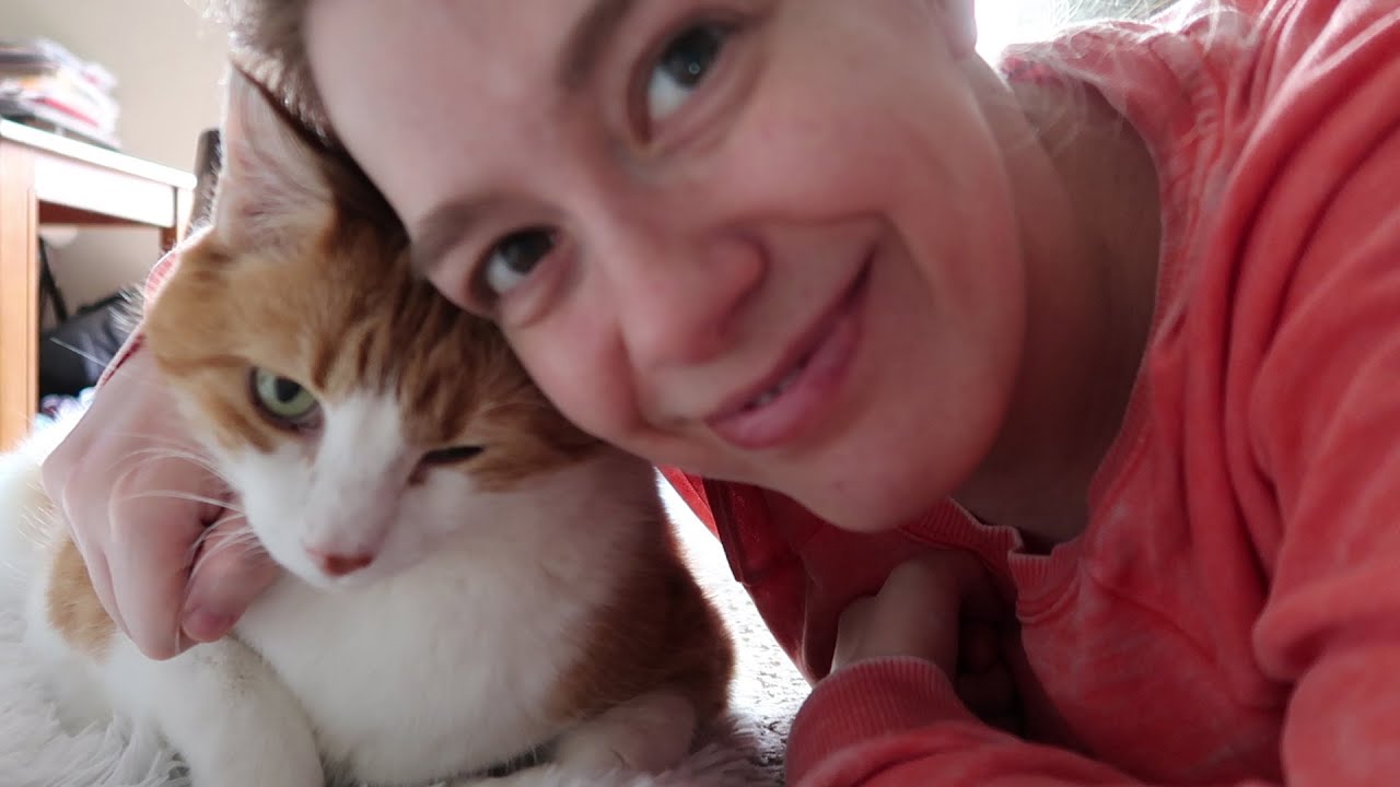 Butters has another vet appointment and I pester him - YouTube