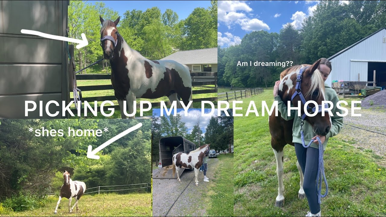 PICKING UP MY DREAM HORSE | *pony reveal*🦄 - YouTube