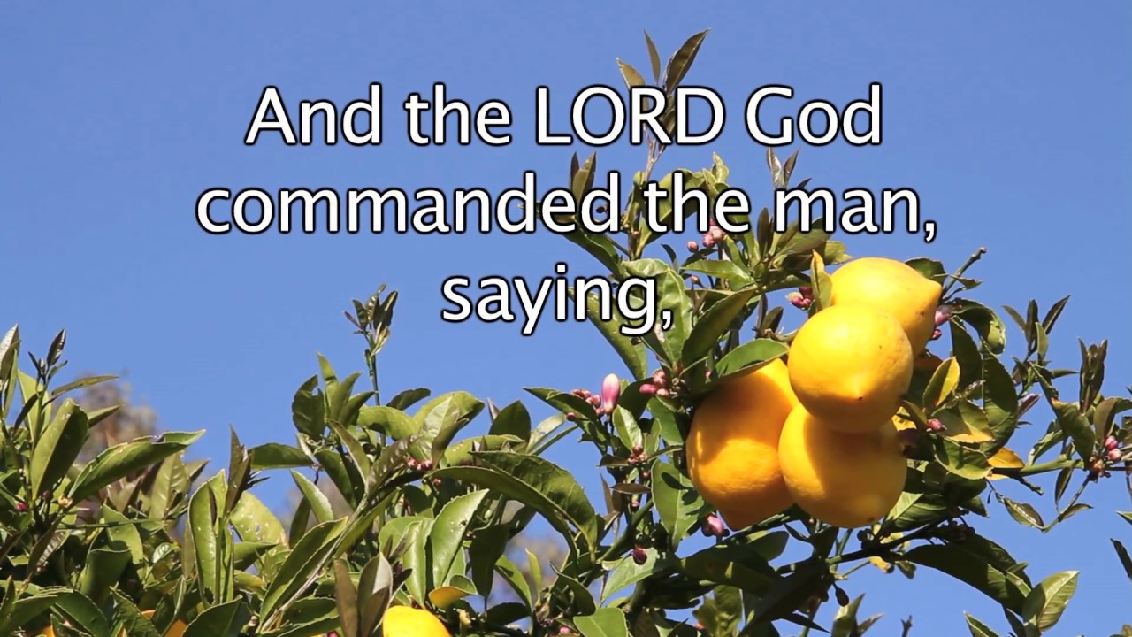 Genesis 2:16 - And the LORD God commanded the man - Bible Verses for ...