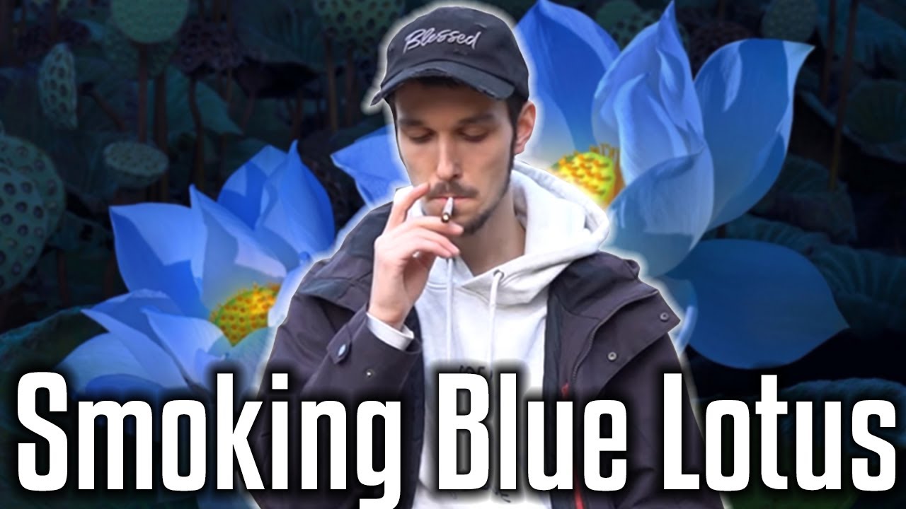 Blue Lotus Flower Smoking | Best Flower Site