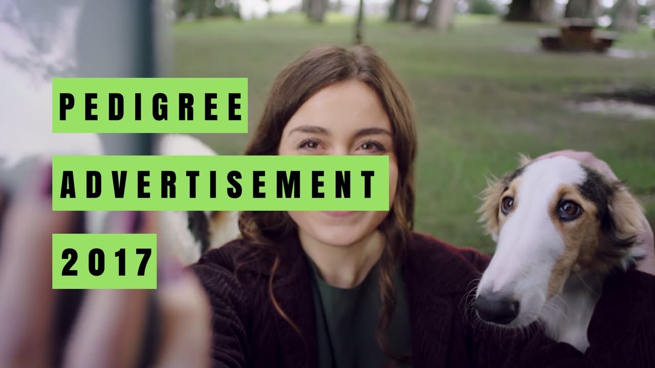 PEDIGREE Advertisement 2017 - YouTube