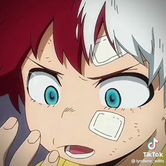⚠️Season 6 Episode 17⚠️ Presenting the todoroki family Trauma #anime # ...