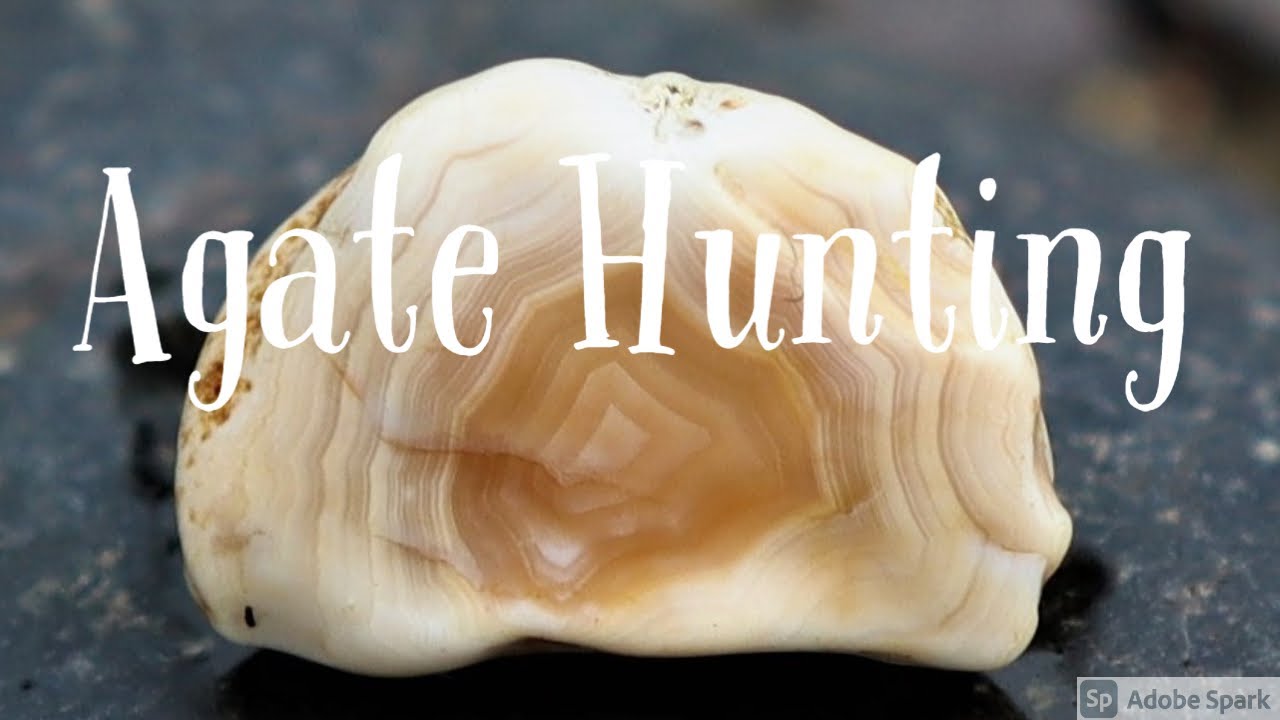 Searching For Amazing Colorful Agates!! Red Agate Beach, Fall 2021 ...