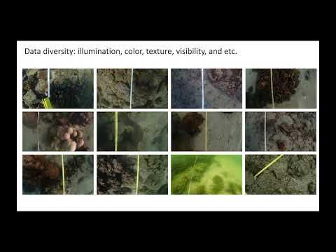 CoralVOS: Dataset and Benchmark for Coral Video Segmentation - YouTube