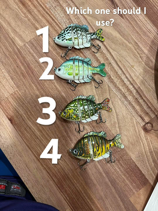 Which one should I use? #fishing - YouTube