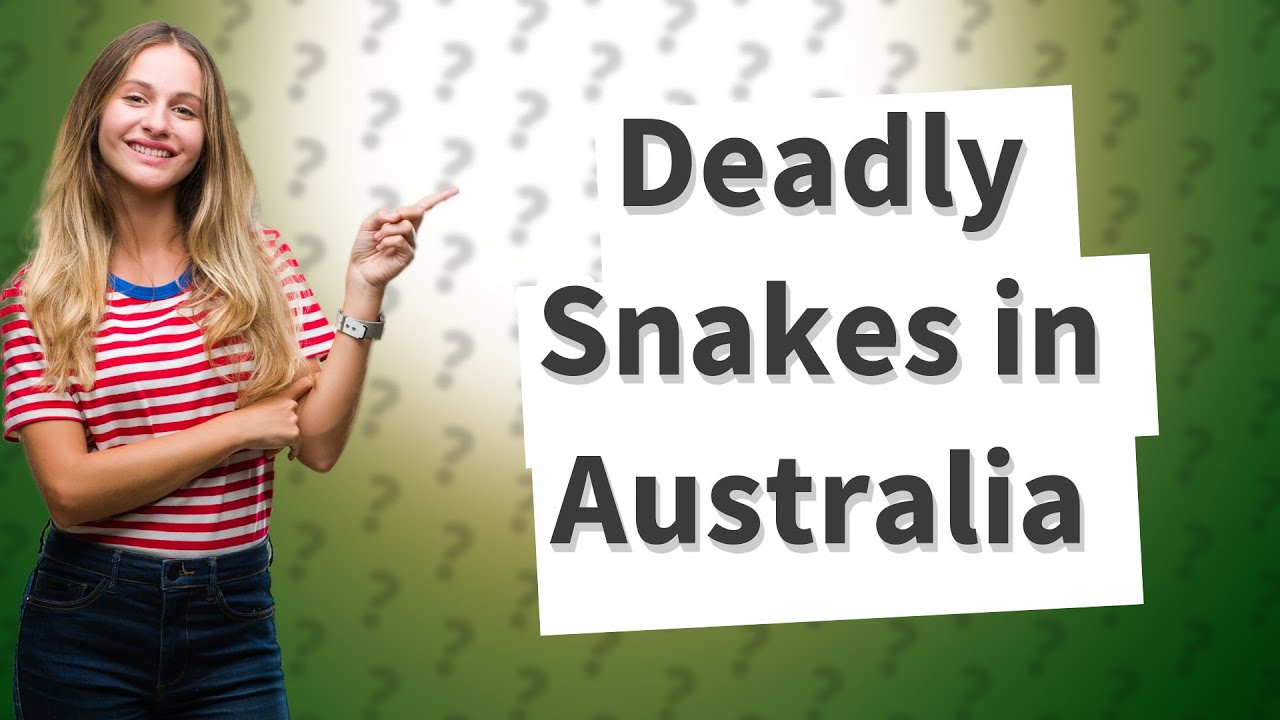 Which country has most poisonous snakes? - YouTube