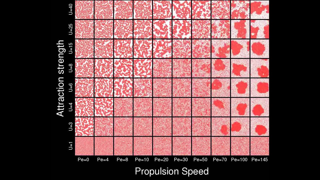 Hagan Lab: Reentrant phase behavior of self-propelled spheres in 2D ...
