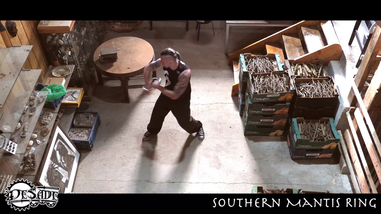 Southern Mantis Ring Performance 1 - YouTube