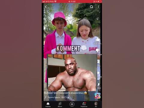Накорми питомца - YouTube