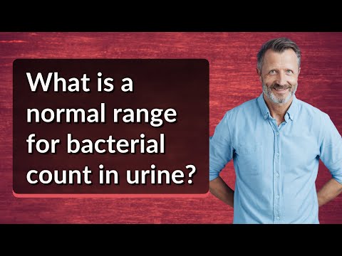 What is a normal range for bacterial count in urine? - YouTube