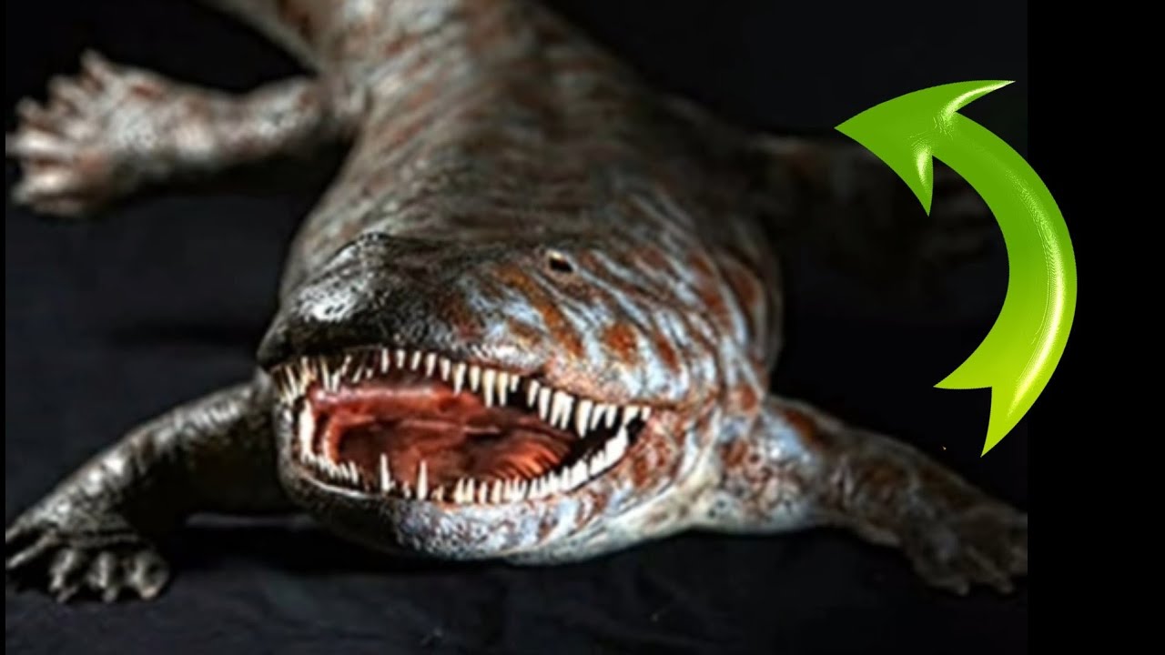 38 crore years old theory of evolution | First creature to come to land ...