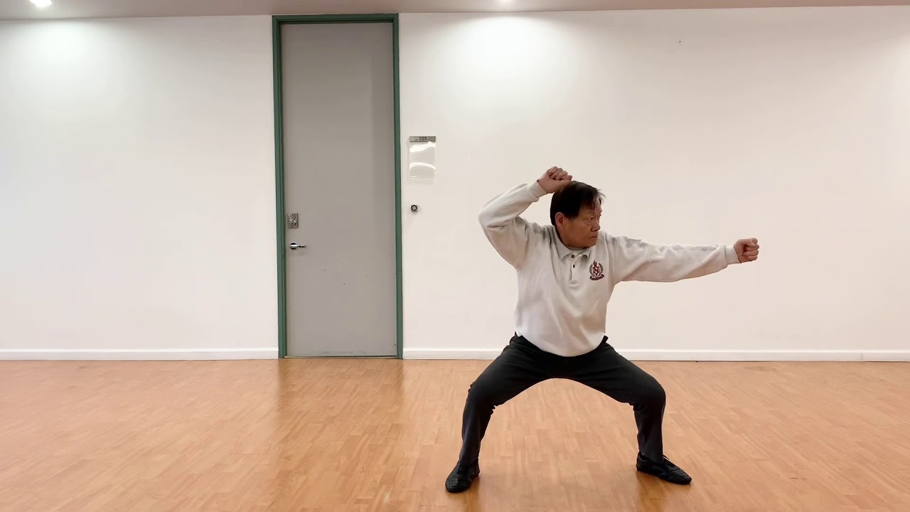 Chang Tung-sheng style Hsing-Ching Fist Form (The Essence of Five ...