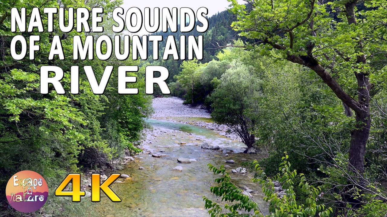 4K Relaxing river ambience - Calming water sounds with singing birds ...