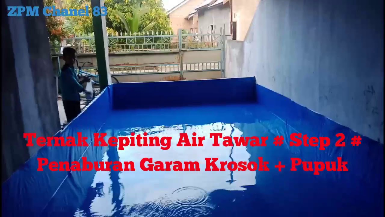 Ternak Kepiting Air Tawar / Crabs Farming - YouTube