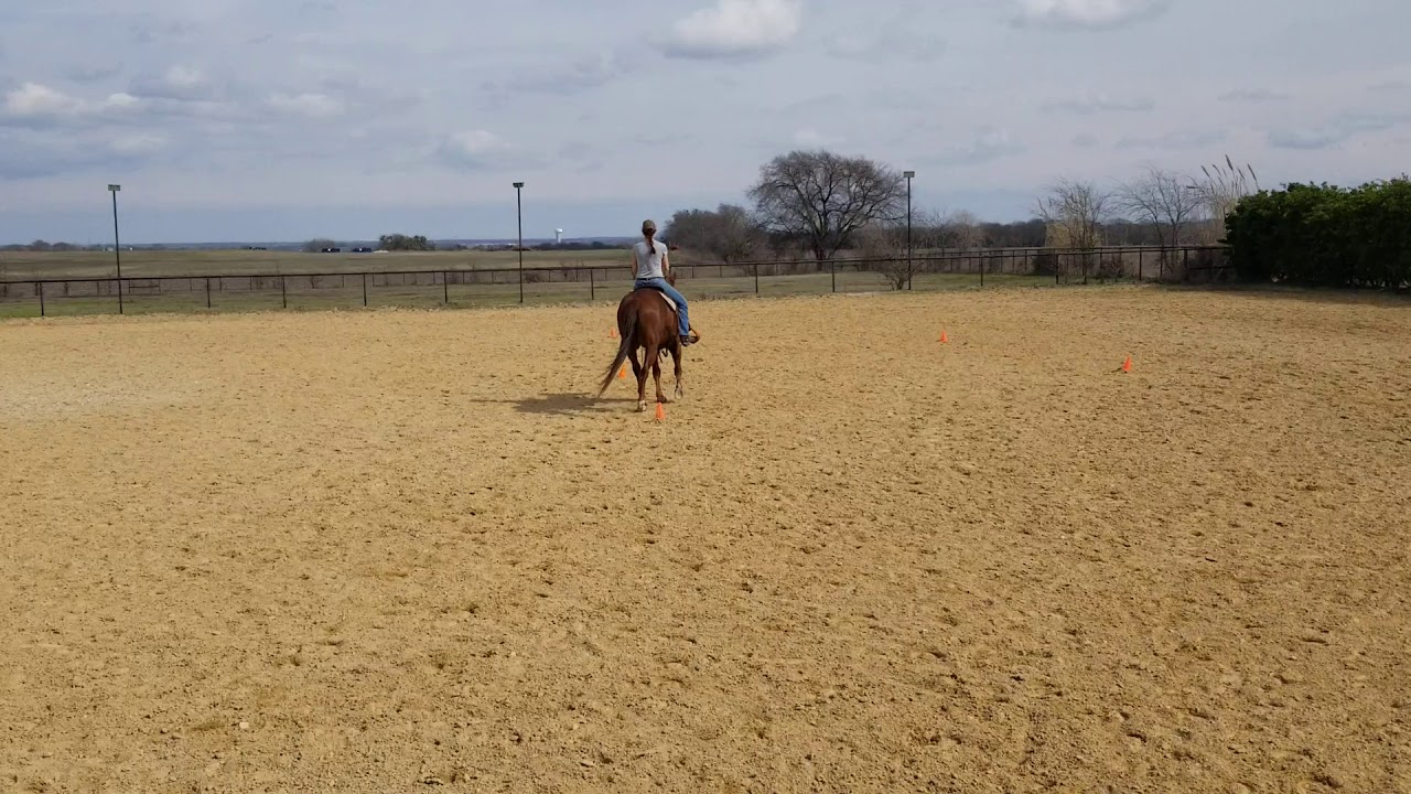 Obstacles with Rodeo - YouTube