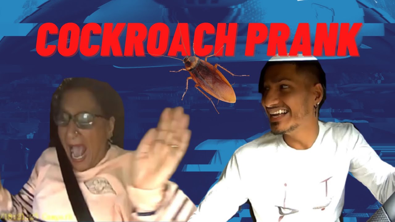 COCKROACH PRANK ON MOMMA! 😂🪳 - YouTube