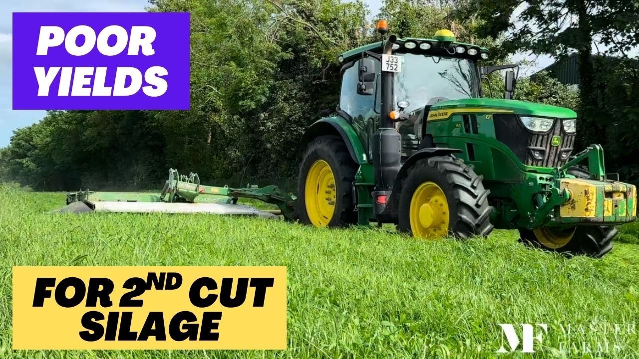 Poor yields for second cut silage, but quality is good - fields being ...